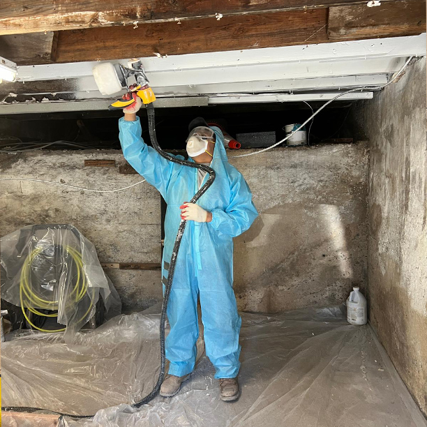 Certified Mold Removal & Remediation Specialist Edison NJ