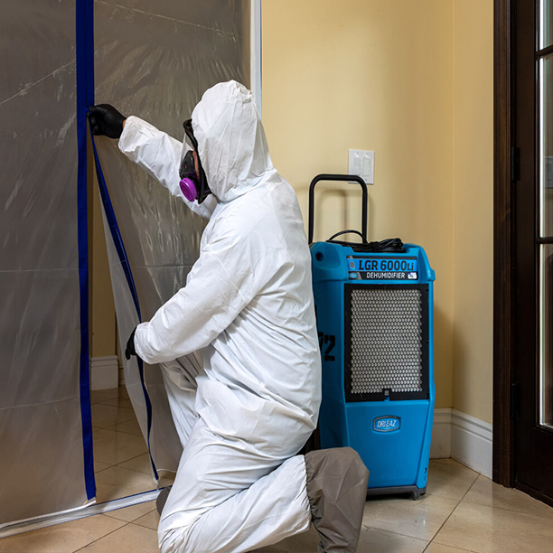 Certified Mold Removal & Remediation Specialist Edison NJ